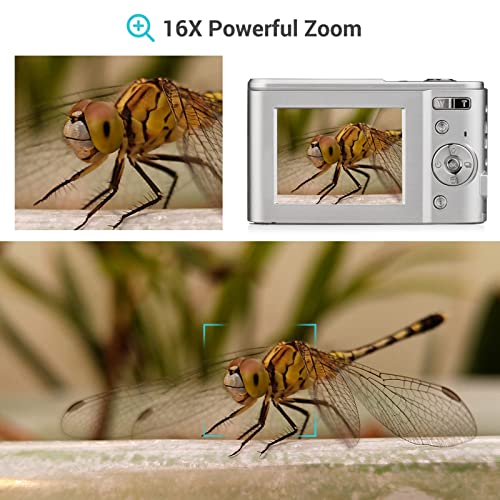 CalmGeek Portable Digital Camera 48MP 1080P 2.4-inch IPS Screen 16X Zoom Auto Focus Self-Timer 128GB Extended Memory Face Detection -Shaking with 2pcs Batteries Hand Strap Carry Pouch