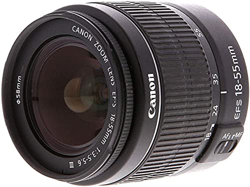 Inspire Digital Canon EOS Rebel 2000D DSLR Camera with 18-55mm is II Lens Bundle + Canon EF 75-300mm f/4-5.6 III Lens and 500mm Preset Lens + 64GB Memory + Filters + Paded Case (Renewed)