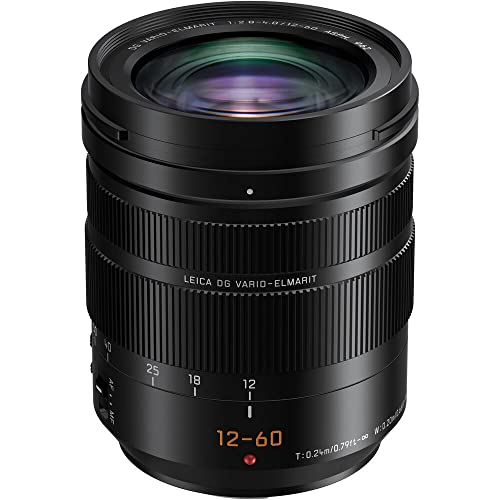 Panasonic Lumix GH6 Mirrorless Camera with 12-60mm f/2.8-4 Lens (DC-GH6LK) + Sony 64GB Tough SD Card + Filter Kit + Wide Angle Lens + Telephoto Lens + Lens Hood + Card Reader + More