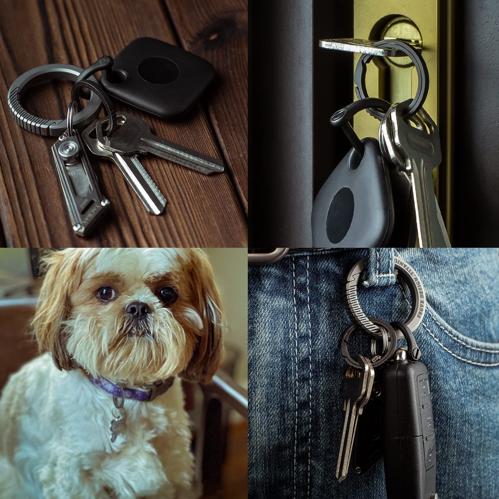 FEGVE Small Titanium D Ring with 1 Pcs Side-Pushing Titanium Key Ring,Car Fob Keychain Holder - （1/2 Inch/12mm D-Ring+22mm Keyring）