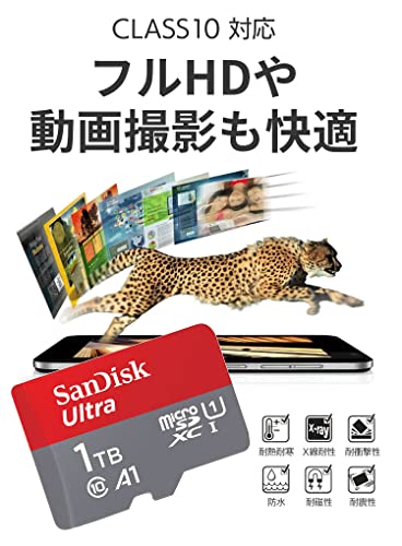Lexar Professional 633x 1TB SDXC UHS-I Card (LSD1TCBNA633) , Black