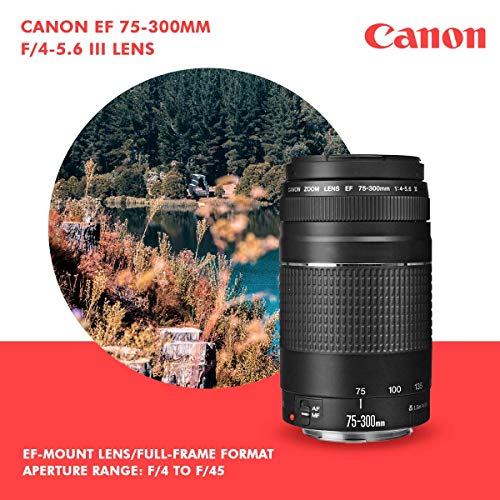 Canon T7 EOS Rebel DSLR Camera with 18-55mm and 75-300mm Lenses Kit & 32GB Dual SD Card Accessory Bundle (Renewed)