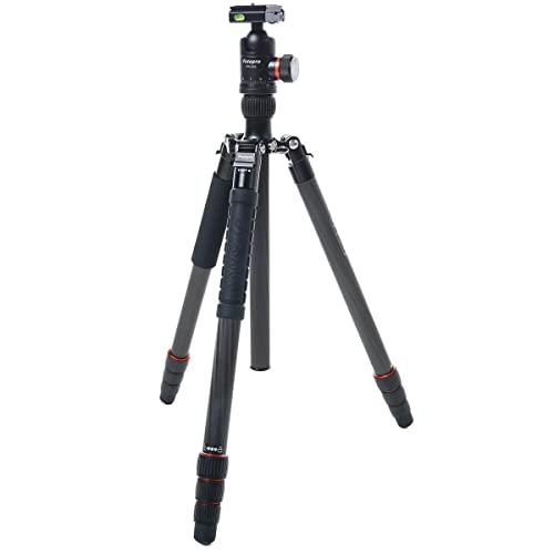 Canon EOS R5 C Mirrorless Digital Cinema Camera Body, Bundle with FotoPro X-Go Max Carbon Fiber Tripod/Monopod, Fluid Video Head, Bag, Screen Protector, Cleaning Kit