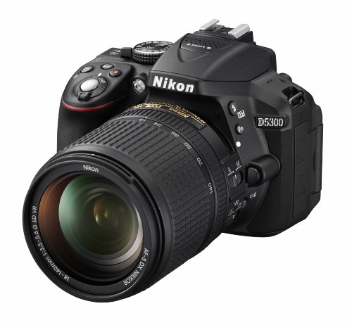 Nikon D5300 24.2 MP CMOS Digital SLR Camera with 18-140mm f/3.5-5.6G ED VR Auto Focus-S DX NIKKOR Zoom Lens - International Version (No Warranty)