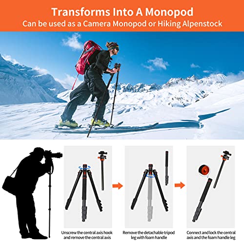 Nietoto New Professional Camera Tripod, Aluminum Travel Tripod for Camera, DSLR Camema Tripod, Compact Professional Camera Tripod Monopod with 360 Panorama Ball Head, 1/4 QR Plate, Carry Bag