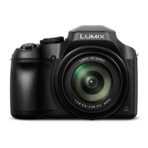 Panasonic DC-FZ80K LUMIX FZ80 18.1MP 4K 60x Long Zoom Digital Camera with Kodak 32GB Card, Holster Bag, and Flexible 12-inch Spider Tripod Bundle (4 Items)