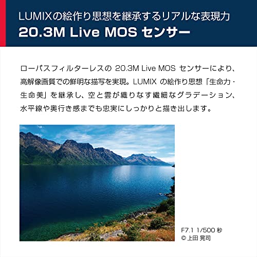 Panasonic DC-G99D [LUMIX G99D Body Four Thirds Sensor Mirrorless Camera] 20.3MP Zoom Lens Kit Shipped from Japan Released in 2022