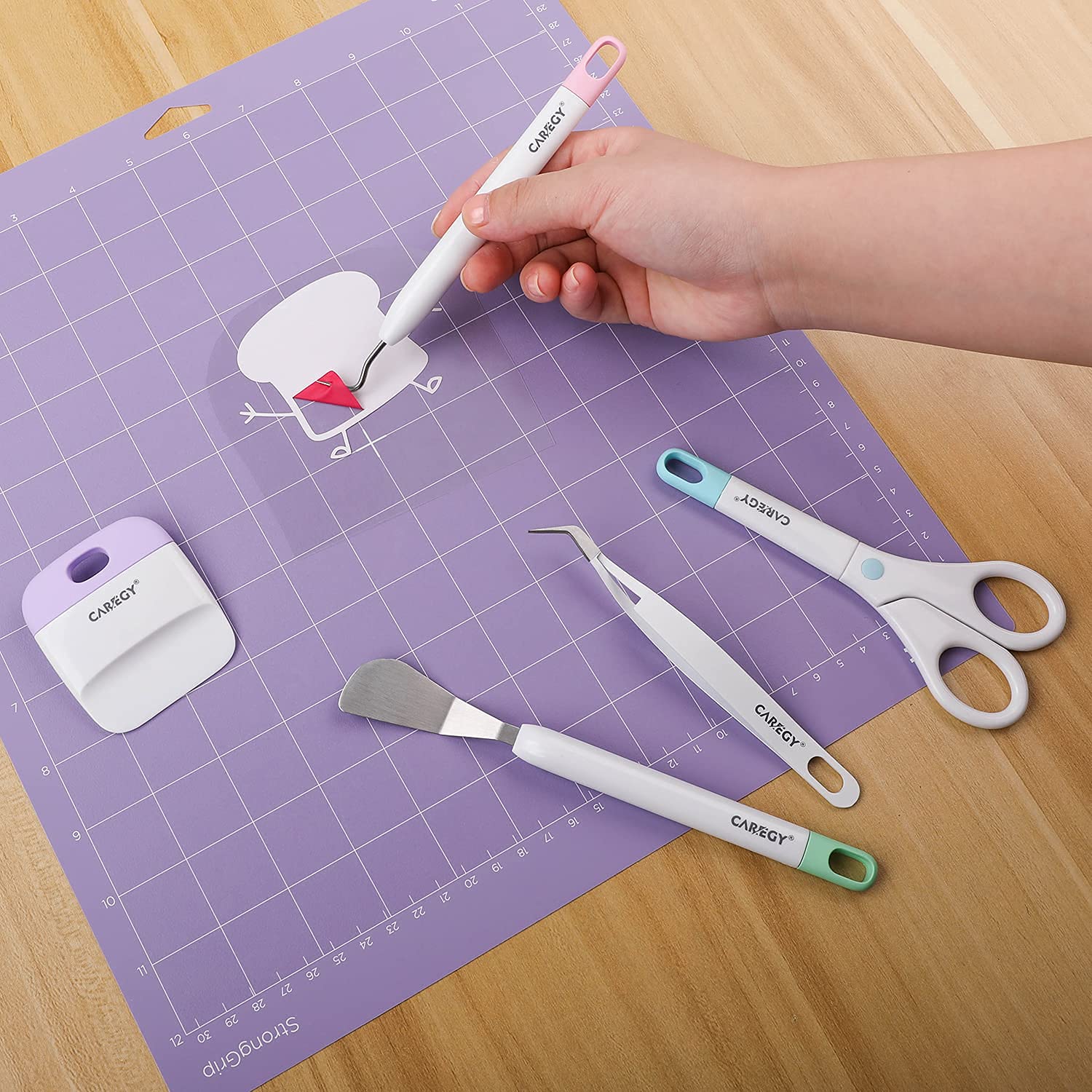 CAREGY Craft Vinyl Weeding Tools Set, Precision Craft Vinyl Tools Kit, Weeding Kits for Cricut/Silhouette/Siser/Oracal 631 651 751 Vinyl