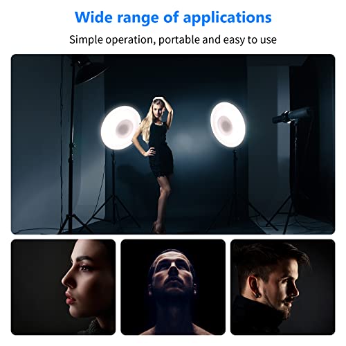 NEEWER 16"/41cm Aluminum Standard Reflector Beauty Dish with White Diffuser Sock for Bowens Mount Studio Strobe Flash Light, NEEWER Vision 4 ML300 S101-300W S101-400W etc