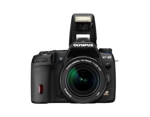 Olympus E30 12.3MP Digital SLR with Image Stabilization (Body Only)