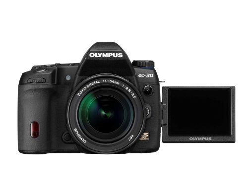 Olympus E30 12.3MP Digital SLR with Image Stabilization (Body Only)