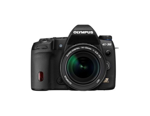 Olympus E30 12.3MP Digital SLR with Image Stabilization (Body Only)