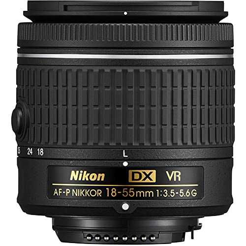 Nikon D750 24.3MP DSLR Digital Camera with 18-55mm and 70-300mm Lenses (1543) Deluxe Bundle with SanDisk 64GB SD Card + Large Camera Bag + Filter Kit + Spare Battery + Telephoto Lens