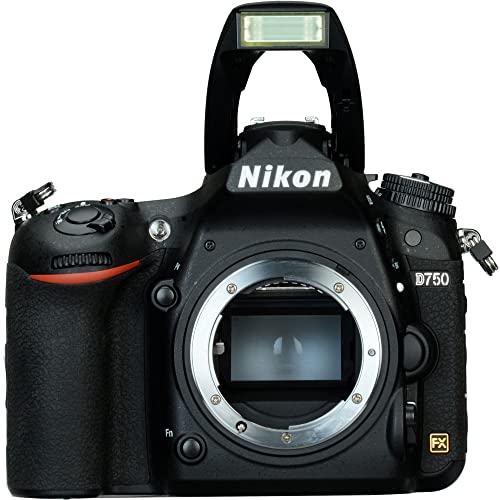 Nikon D750 24.3MP DSLR Digital Camera with 18-55mm and 70-300mm Lenses (1543) Deluxe Bundle with SanDisk 64GB SD Card + Large Camera Bag + Filter Kit + Spare Battery + Telephoto Lens