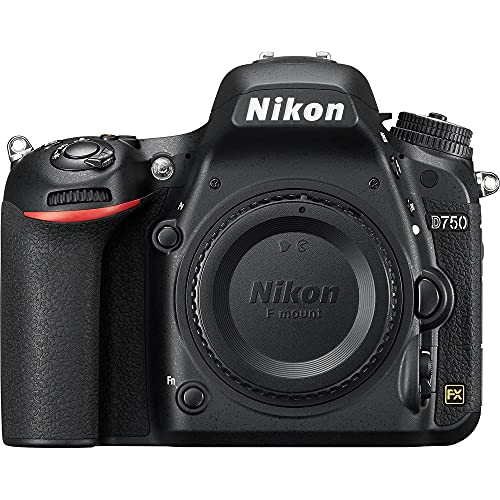 Nikon D750 24.3MP DSLR Digital Camera with 18-55mm and 70-300mm Lenses (1543) Deluxe Bundle with SanDisk 64GB SD Card + Large Camera Bag + Filter Kit + Spare Battery + Telephoto Lens