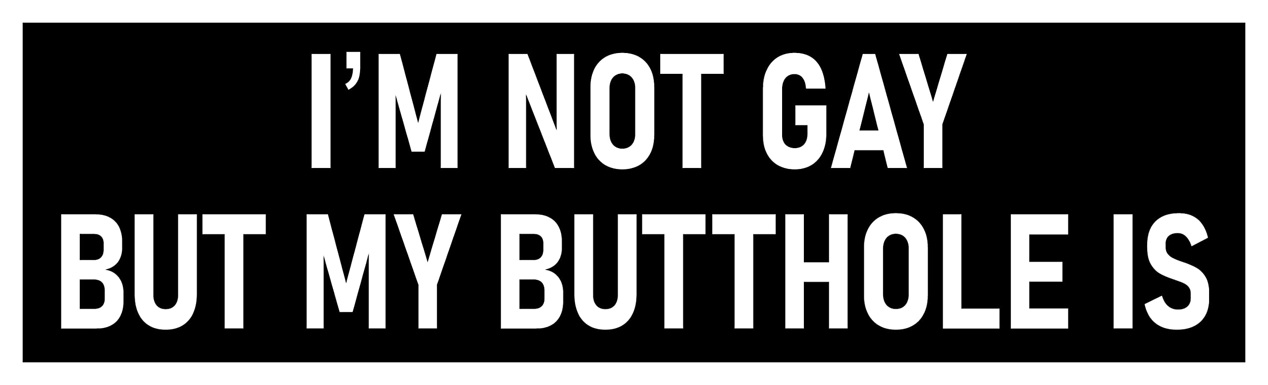 I'm Not Gay But My Butthole Is Bumper Sticker 2 Sticker Deal 3x9 and 2x2 Funny Car Decal I'm Not Gay But My Butthole Is