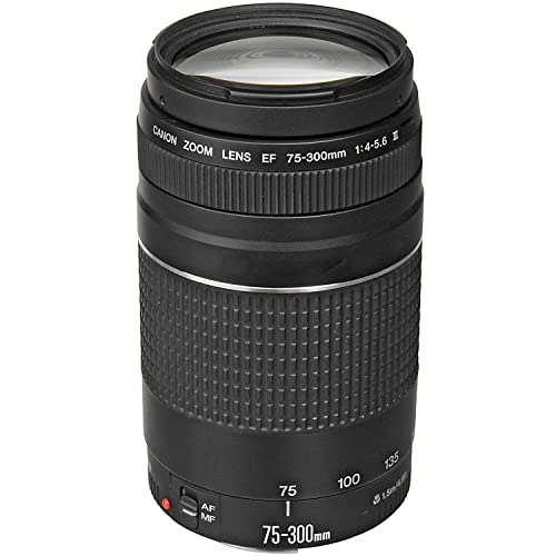 Camera Bundle for Canon EOS M50 Mark II Mirrorless Camera Black with EF-M 15-45mm F/3.5-6.3 is STM + EF 75-300mm f/4-5.6 III + Video Kit Accessories (64GB, Microphone, Flash, and More)