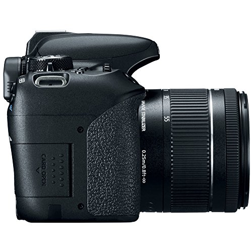 Canon EOS Rebel T7i Digital SLR Camera with EF-S 18-55mm is STM Lens + Sandisk Ultra SDHC 32GB UHS Class 10 Memory Card + Accessory Bundle