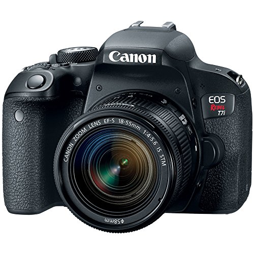 Canon EOS Rebel T7i Digital SLR Camera with EF-S 18-55mm is STM Lens + Sandisk Ultra SDHC 32GB UHS Class 10 Memory Card + Accessory Bundle
