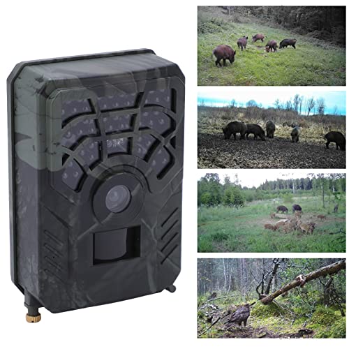 Hunting Camera, Professional 5MP 720P Trail Camera HD for Villa House