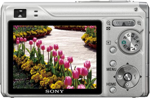 Sony Cybershot DSCW200 12.1MP Digital Camera with 3x Optical Zoom and Super Steady Shot