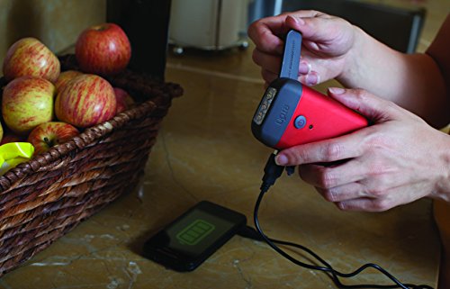 Eton American Red Cross Crank-Powered Clipray Clip-On Flashlight & Smartphone Charger, Red