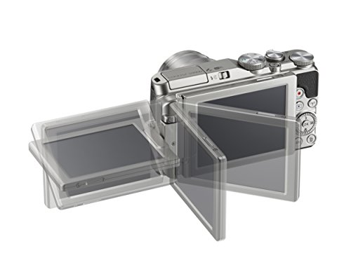 Nikon COOLPIX S9900 Digital Camera with 30x Optical Zoom and Built-In Wi-Fi (Silver)