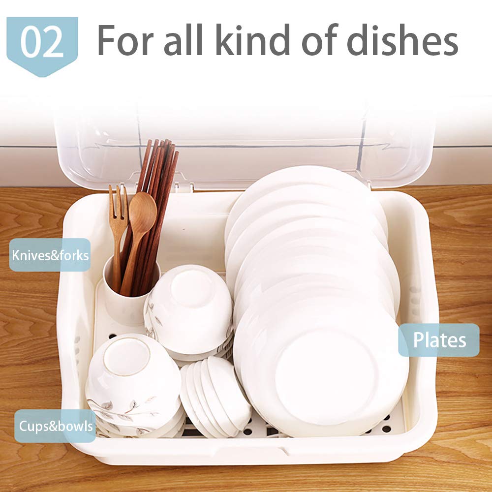 Tomorotec Medium Size Dish Drying Rack and Drain Board with Lid Cover, 16" x 12.2" x 10.6" Nursing Bottle Holder, Kitchen Plate Cup Dish Drying Rack Tray Cutlery Dish Drainer