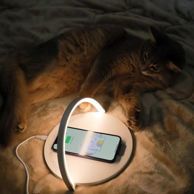 Qivation TiO2 Multifunctional Desk Lamp with Wireless Charger, Japan Tech 24/7 Air Purification, LED lamp 3 Brightness Levels, Phone Stand, Eye-Caring Night Light Qi Comp. for Home & Office