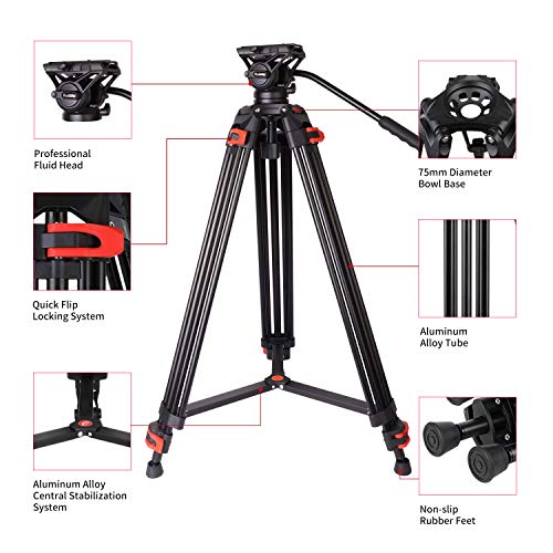 Heavy Duty Tripod, Camera Video Tripod with Fluid Head Aluminum Twin Tube 74.4 inch, Max Loading 17.6 LBS, for Canon Nikon Sony DSLR Camcorder Camera