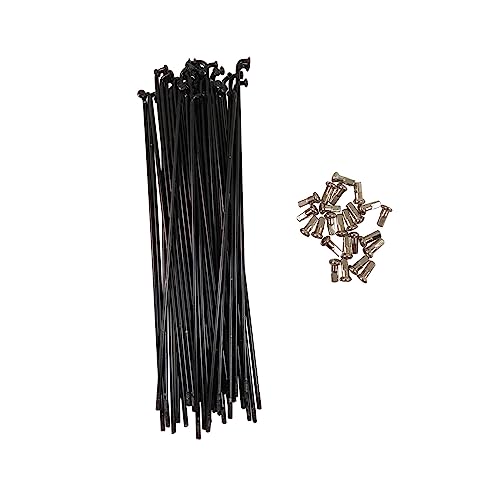 dhgfent Bike Spoeks 10PCS 12G (2.5mm Dia) E-Bike Spokes for MTB/Fat Electric Bicycle Or Ebike Front Rear Wheel Conversion Kit (Color : 131mm)