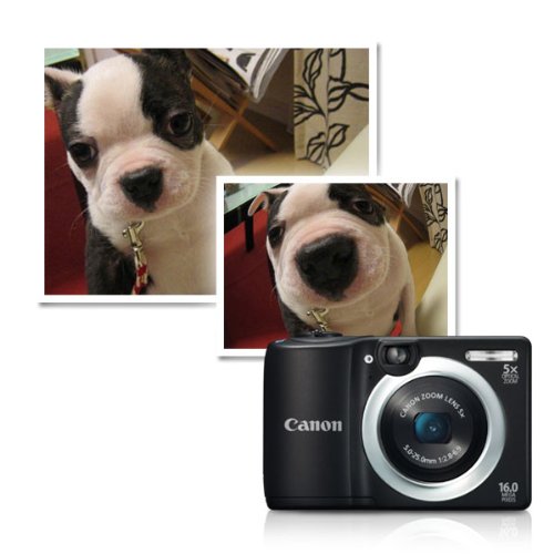 Canon PowerShot A1400 16.0 MP Digital Camera with 5x Digital Image Stabilized Zoom 28mm Wide-Angle Lens and 720p HD Video Recording (Black) (OLD MODEL)