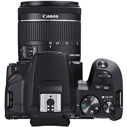 Canon EOS Rebel SL3 DSLR Camera with 18-55mm Lens (Black) (3453C002) + 64GB Memory Card + Case + Card Reader + Flex Tripod + Hand Strap + Cap Keeper + Memory Wallet + Cleaning Kit (Renewed)