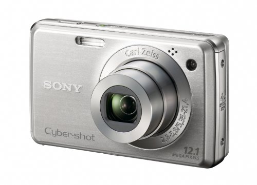 Sony Cyber-shot DSC-W230 12 MP Digital Camera with 4x Optical Zoom and Super Steady Shot Image Stabilization (Silver)