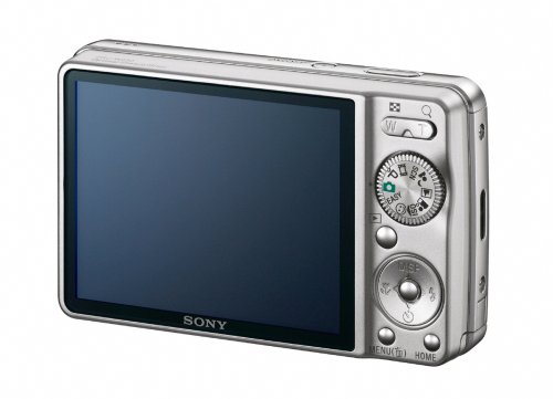 Sony Cyber-shot DSC-W230 12 MP Digital Camera with 4x Optical Zoom and Super Steady Shot Image Stabilization (Silver)