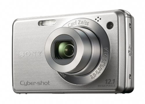Sony Cyber-shot DSC-W230 12 MP Digital Camera with 4x Optical Zoom and Super Steady Shot Image Stabilization (Silver)