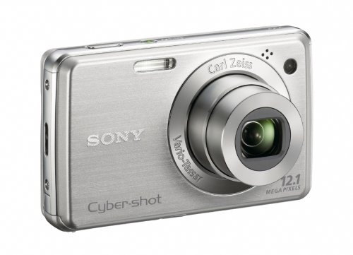 Sony Cyber-shot DSC-W230 12 MP Digital Camera with 4x Optical Zoom and Super Steady Shot Image Stabilization (Silver)