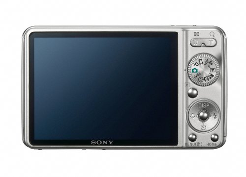 Sony Cyber-shot DSC-W230 12 MP Digital Camera with 4x Optical Zoom and Super Steady Shot Image Stabilization (Silver)