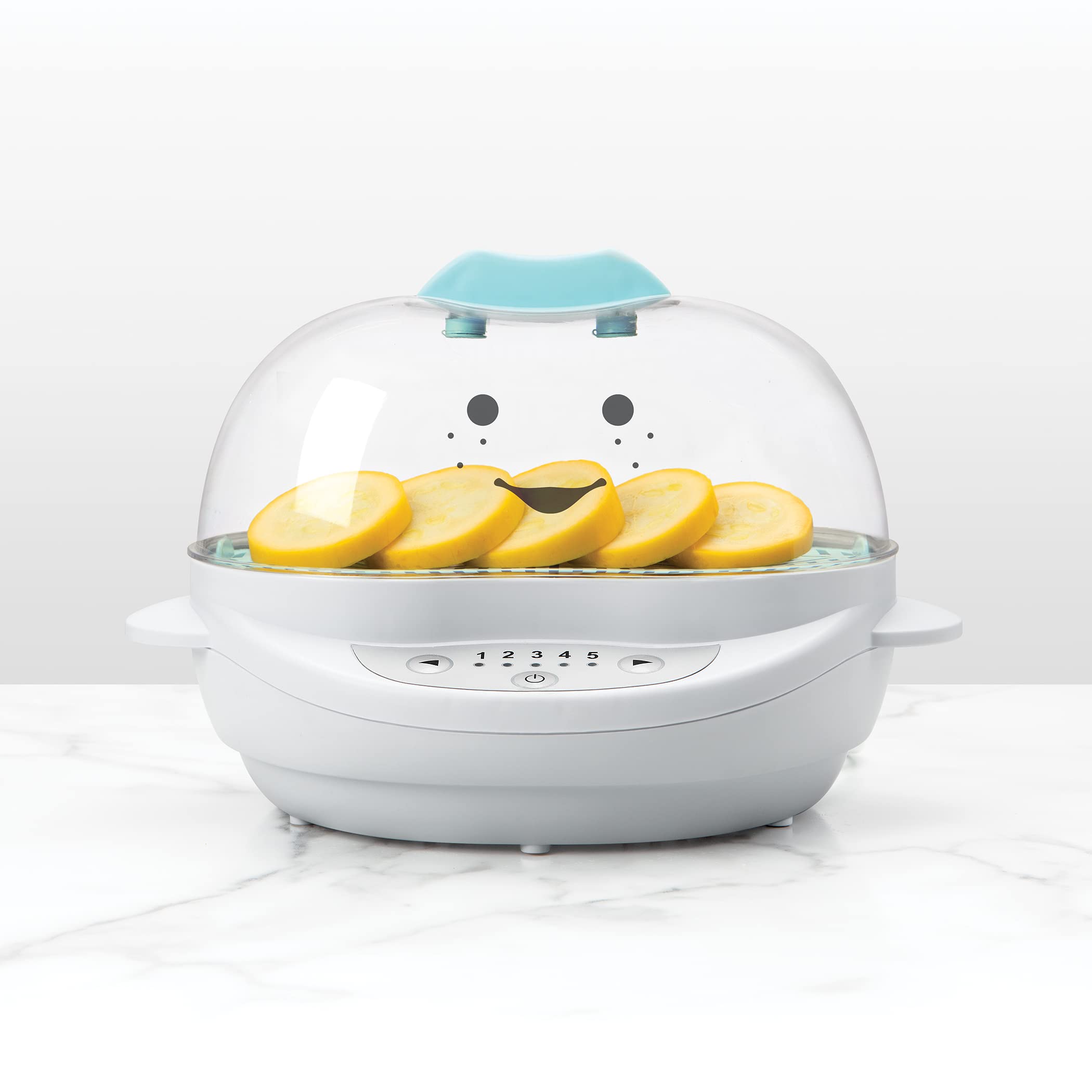 Baby Bullet BSR-0801N Turbo Food Steamer