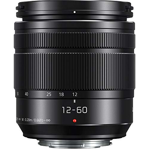 Panasonic Lumix DMC-G85 Mirrorless Micro Four Thirds Digital Camera W/Panasonic 12-60mm Lens & 650-1300mm (1300-2600mm W/ 2X Converter) Telephoto Lens + 64GB Memory Card, Backpack, Flash & More