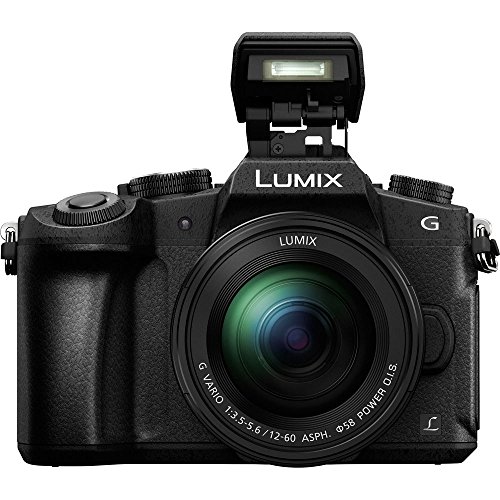 Panasonic Lumix DMC-G85 Mirrorless Micro Four Thirds Digital Camera W/Panasonic 12-60mm Lens & 650-1300mm (1300-2600mm W/ 2X Converter) Telephoto Lens + 64GB Memory Card, Backpack, Flash & More