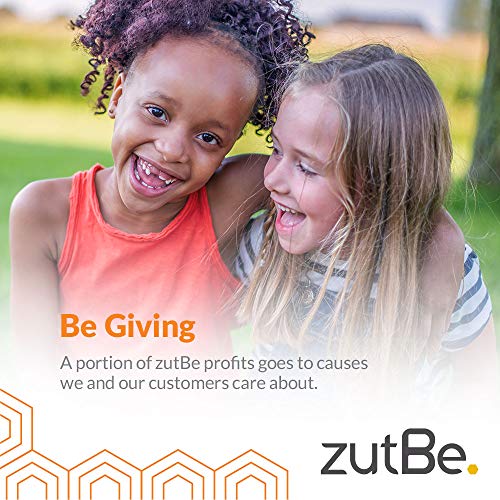 zutBe Dual Port USB-A Foldable 30W, 2.4A Fast Foldable Plug, 1 Quick Charge QC 3.0 Wall Charger Compatible with iPhone 14 13 12 SE 11 X 8 7 & iPad Samsung Galaxy [Be Charitable, Durable, Confident]