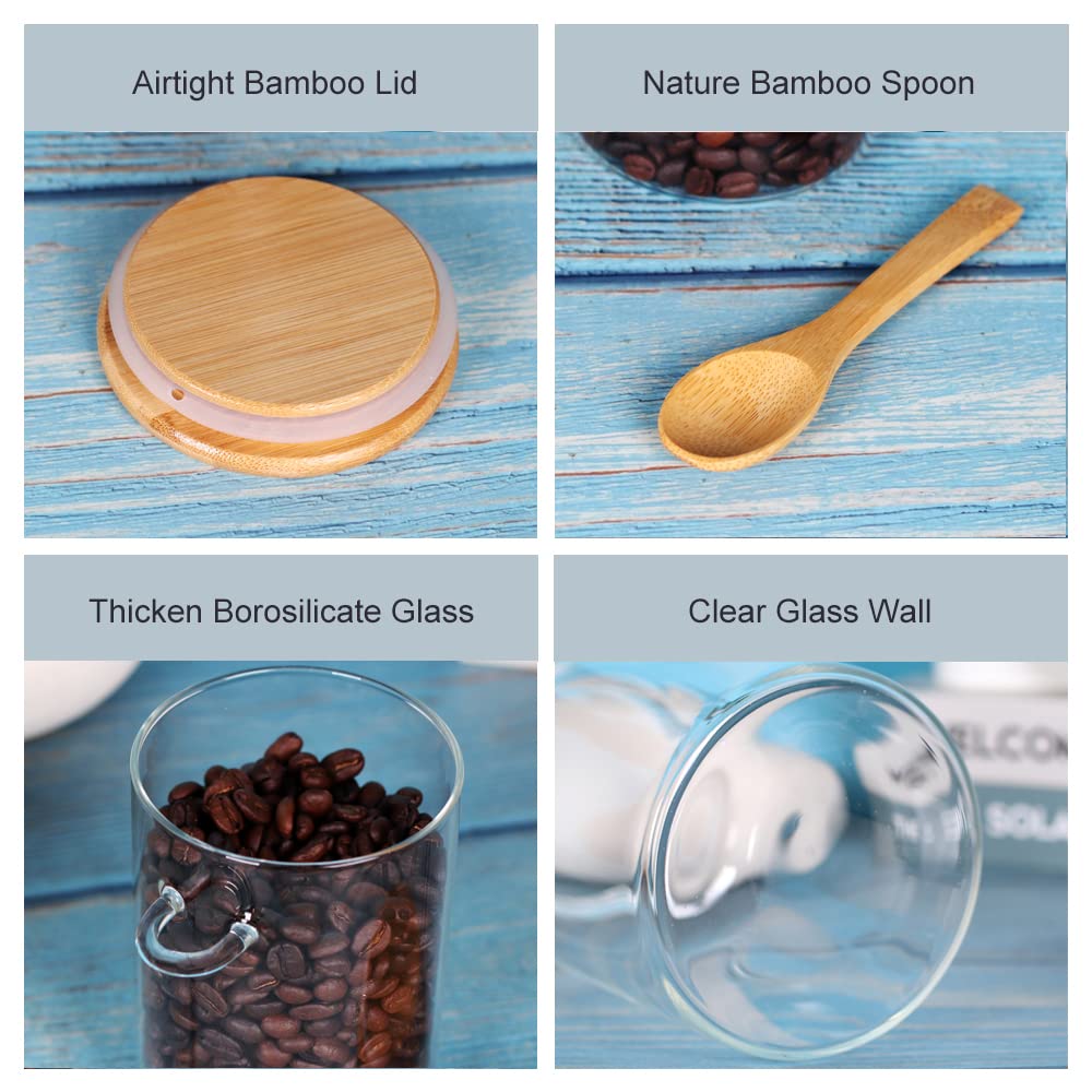 LEAVES AND TREES Y Glass Jars with Bamboo Lids and Spoon, 17 OZ Set of 3 Small Glass Sugar Container with Wooden Lids and Scoop, Coffee Tea Jars for Loose Tea, Coffee Bar Containers
