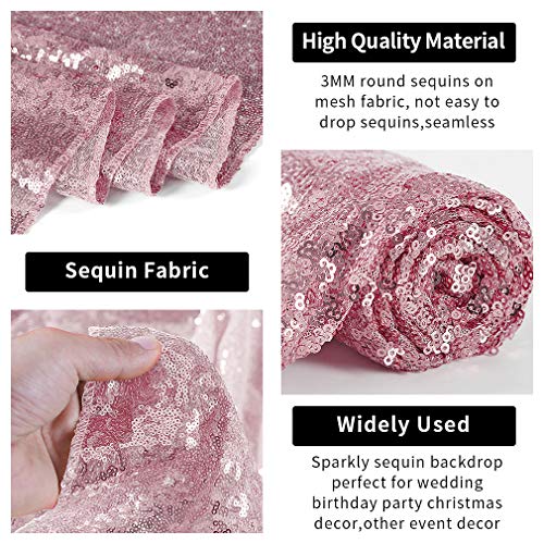 Hahuho Rose Pink Sequin Backdrop Curtain, 2PCS 2FTx8FT Glitter Backdrop Curtain for Parties, Christmas, Wedding, Banquet Decoration(2 Panels, 2FT x 8FT, Rose Pink)