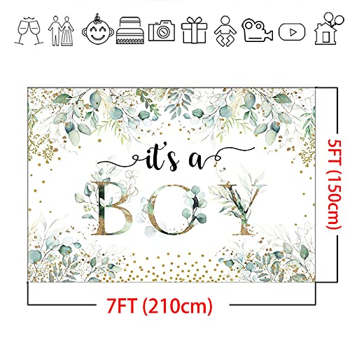 Mocsicka It's a Boy Backdrop Boy Baby Shower Greenery Eucalyptus Baby Shower Party Decorations Banner 7x5ft Summer Green Leaves Boy Baby Shower Photography Background