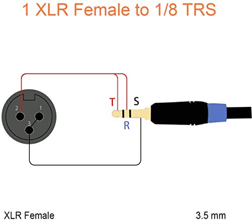 tisino XLR to 3.5mm Microphone Cable, XLR Female to 1/8 inch Mic Cord for Camcorders, DSLR Cameras, Computer Recording Device, and More - 1 feet