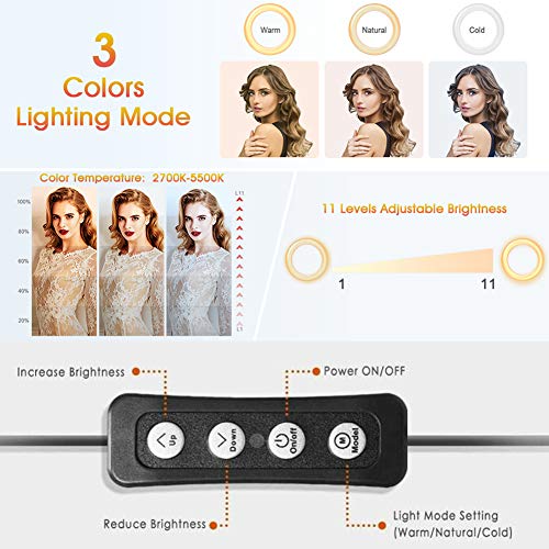 SALTOUSA Video Conference Lighting Kit,6.3 inch Selfie Ring Light,Video Conferencing,Remote Working,Zoom Call Lighting,Self Broadcasting and Live Streaming,YouTube Video,TikTok,Black-A