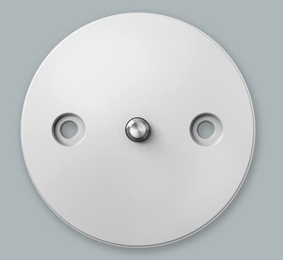 Google Wall Mount for Nest Cam IQ Indoor