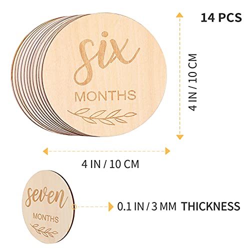 Toyvian 1Set Baby Monthly Milestone Cards Wooden Discs Double Sided Milestone Cards, Newborn Photography Props