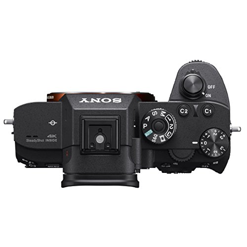 Sony a7R III Mirrorless Full Frame Camera Body + 50mm F1.2 GM G Master FE Large Aperture Lens SEL50F12GM ILCE-7RM3A/B Bundle with Deco Gear Backpack + Microphone + LED + Monopod and Accessories Kit